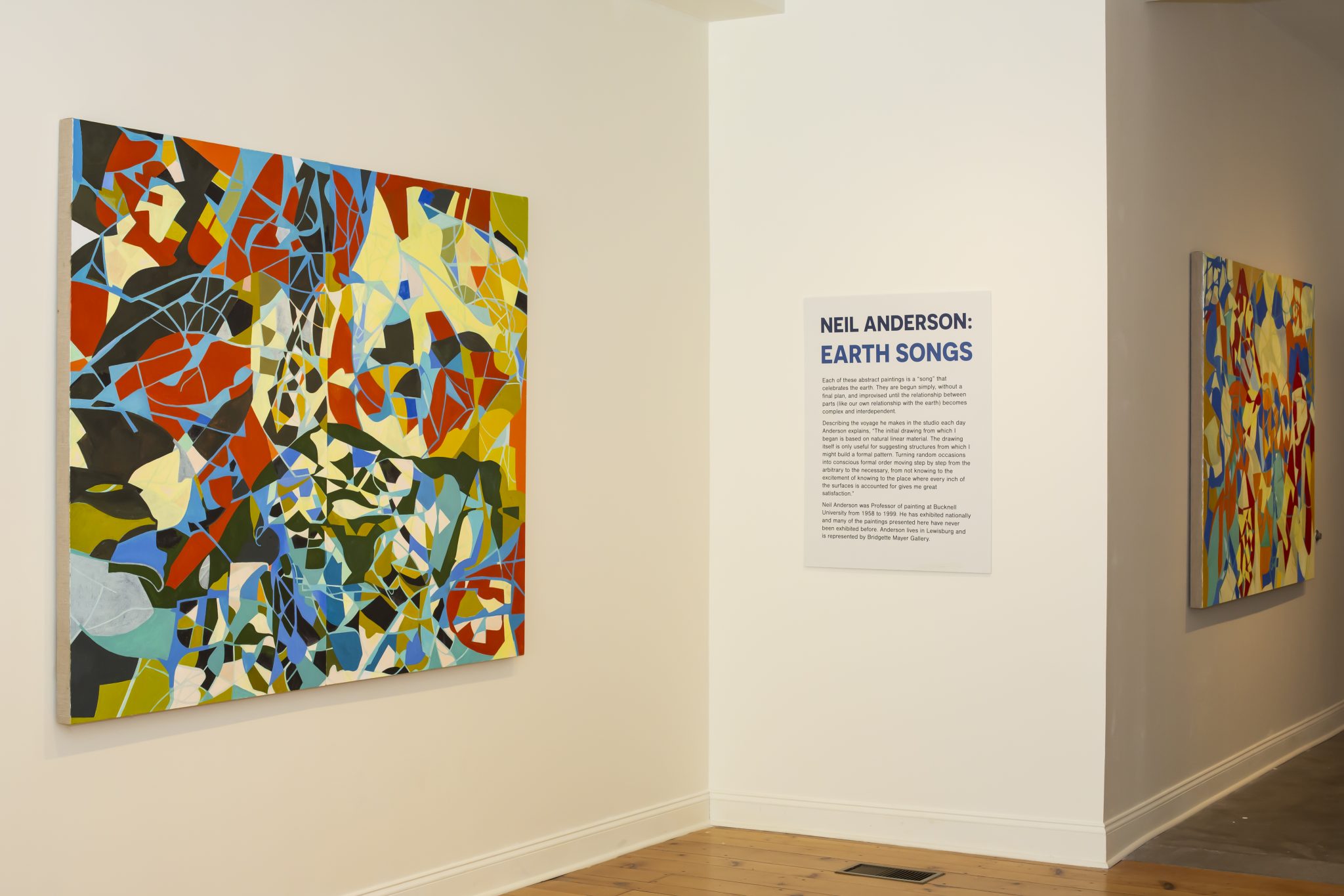 Neil Anderson: Earth Songs